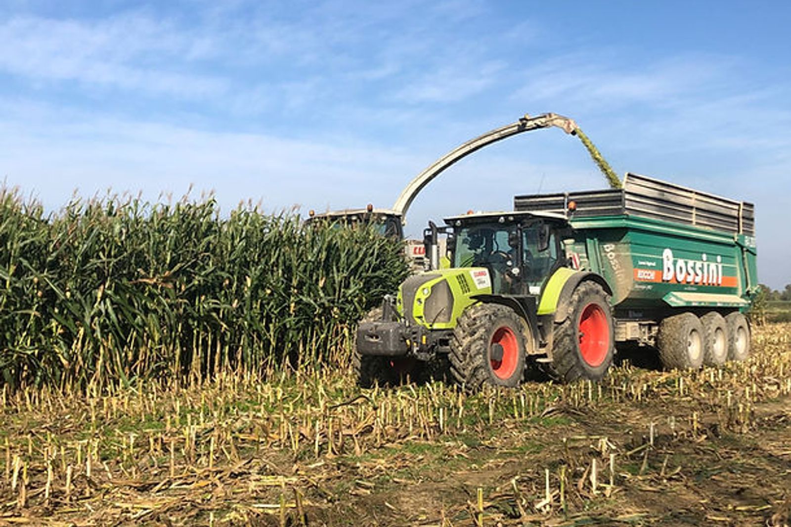 Performance Planting | Dairyland Seed