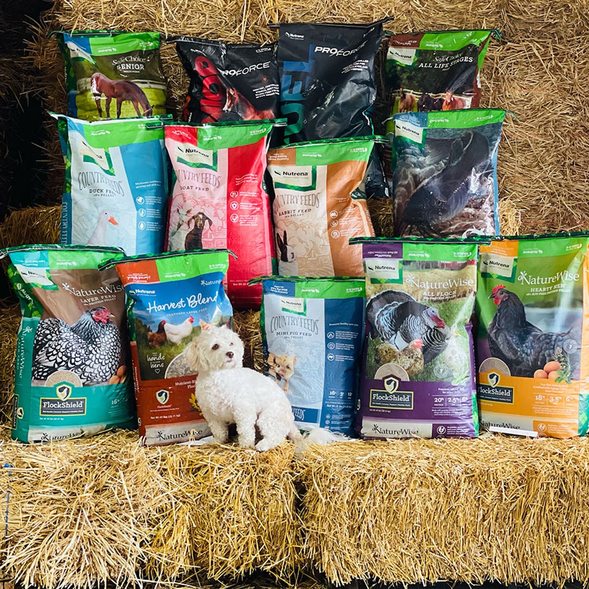 S&T Farm Supplies | Hot Springs, Arkansas