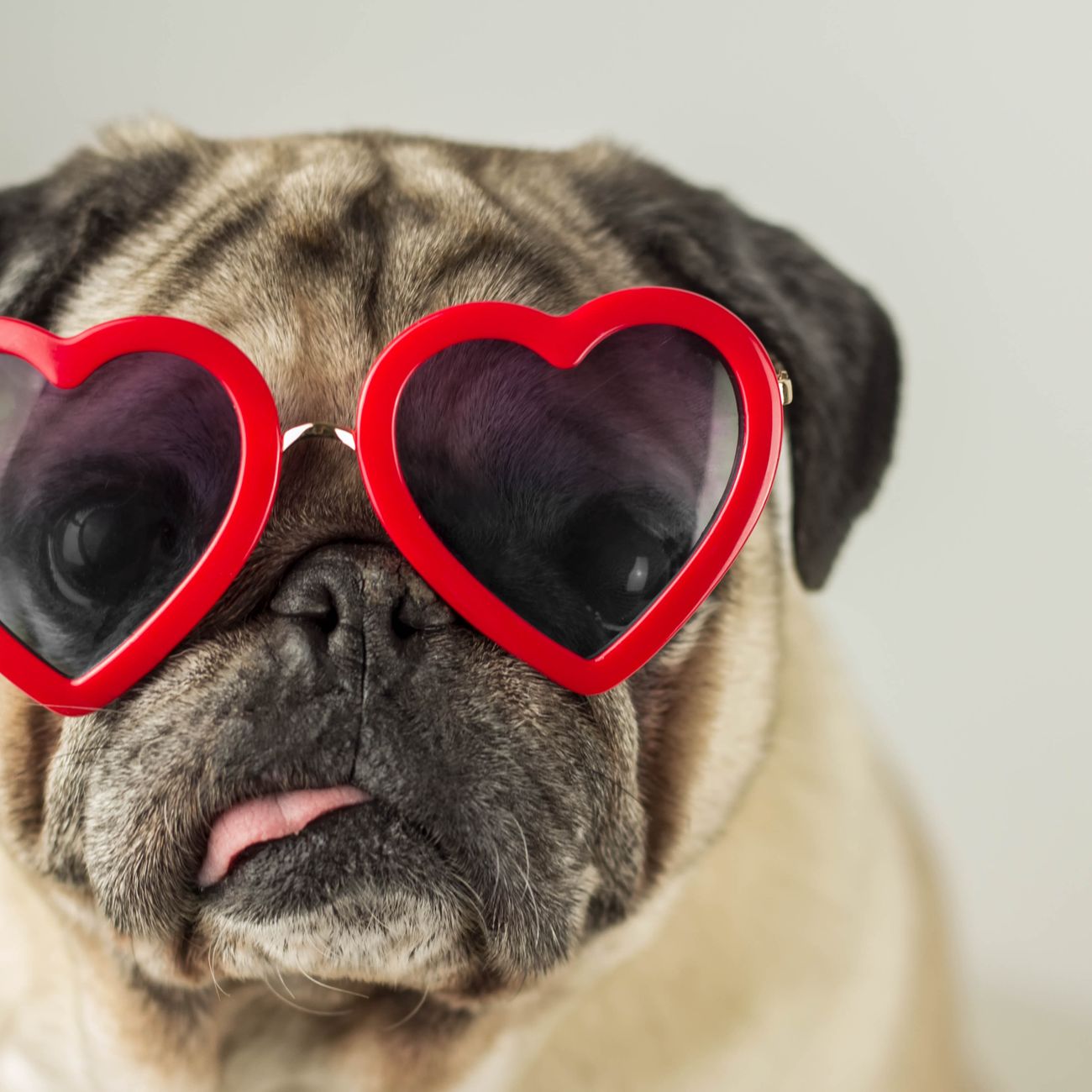 Val’s Pet Supplies