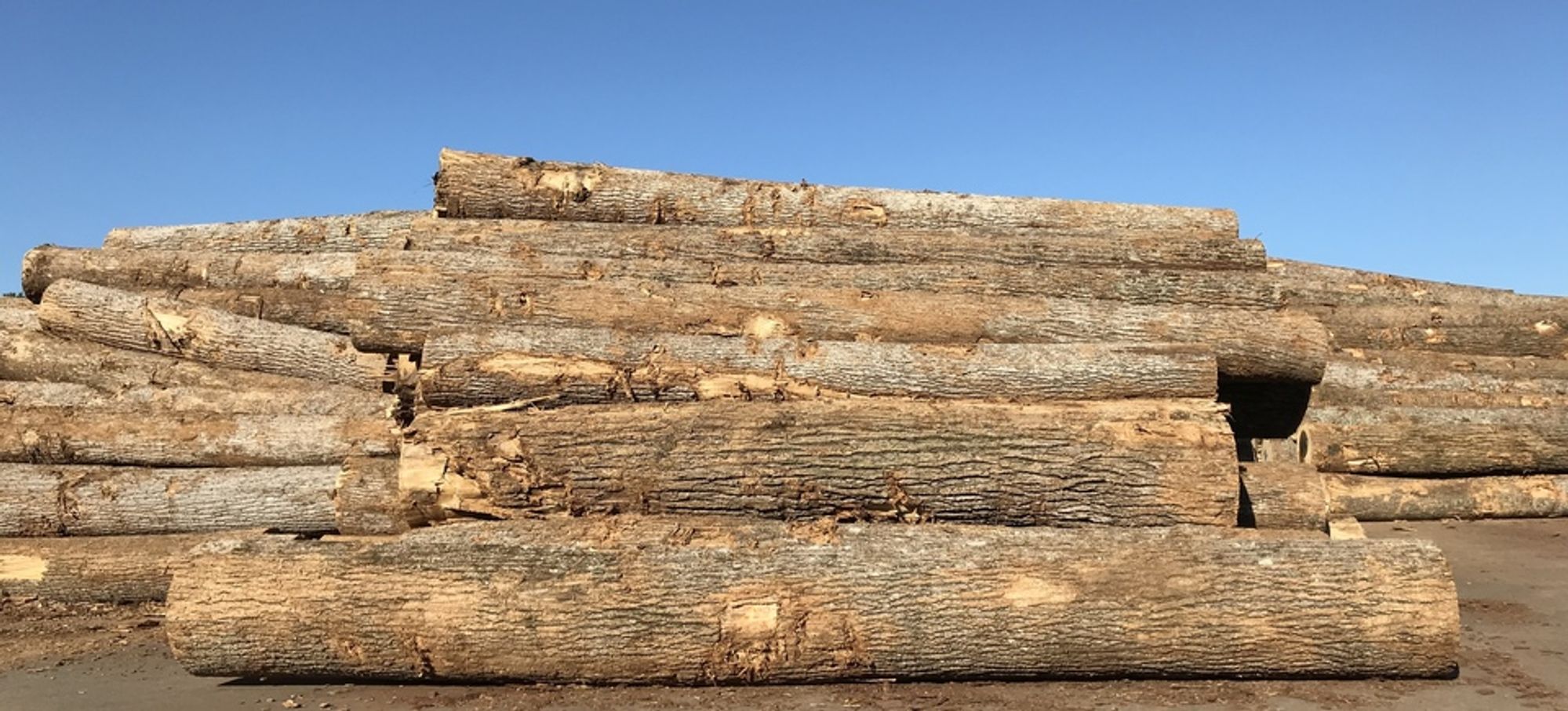 Jerry G Williams & Sons Lumber Inc. | Lumber Mill Products | Smithfield, NC