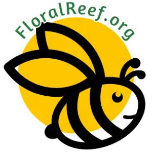 Create Clean Soil and Thriving Pollinator Habitats | The Floral Reef ...