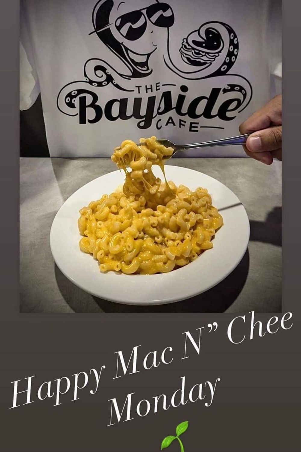 Restaurant near Everett, WA - The Bayside Cafe