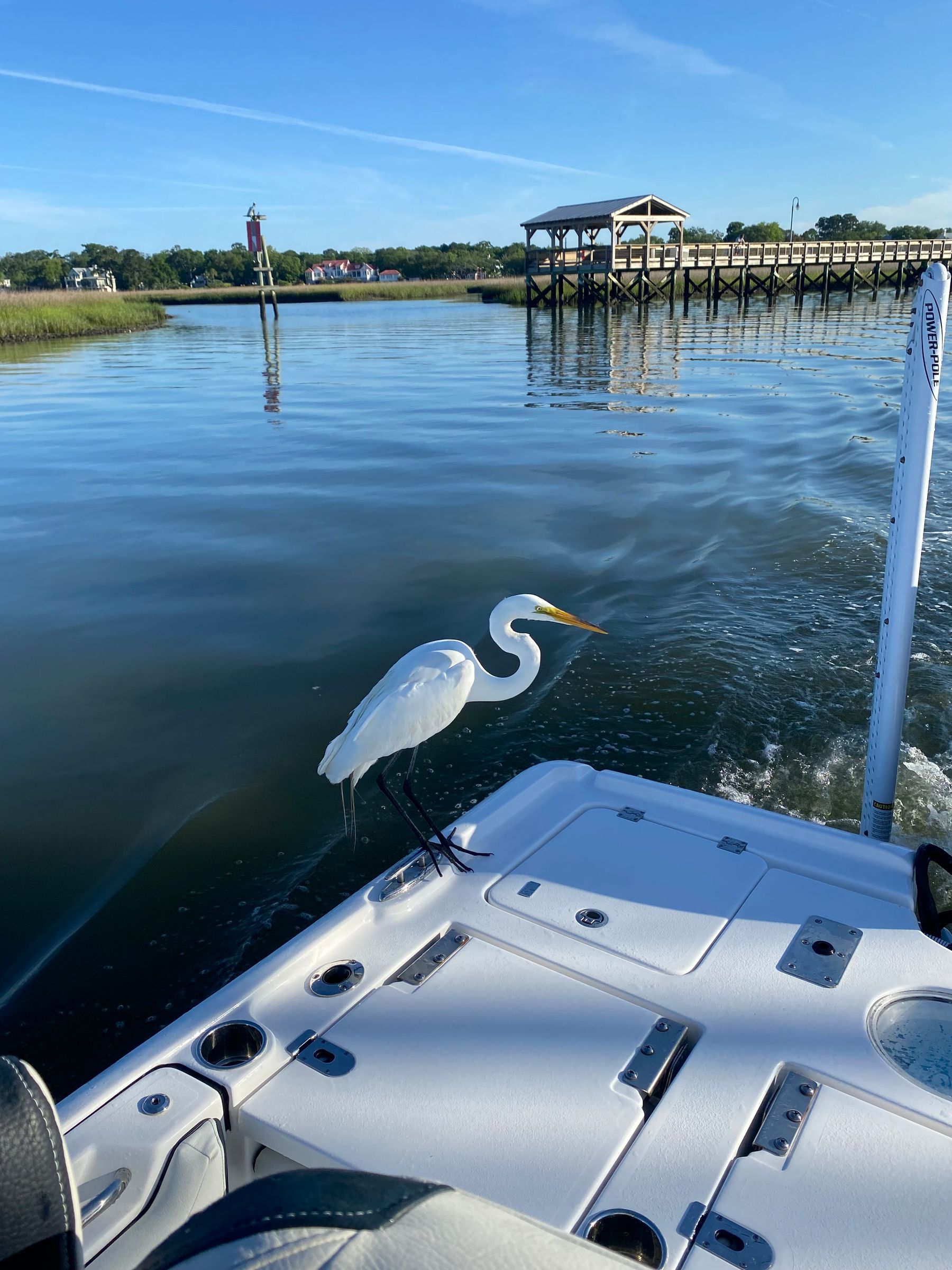 Best Charleston Boat Tour | Low Country Coastal Excursions