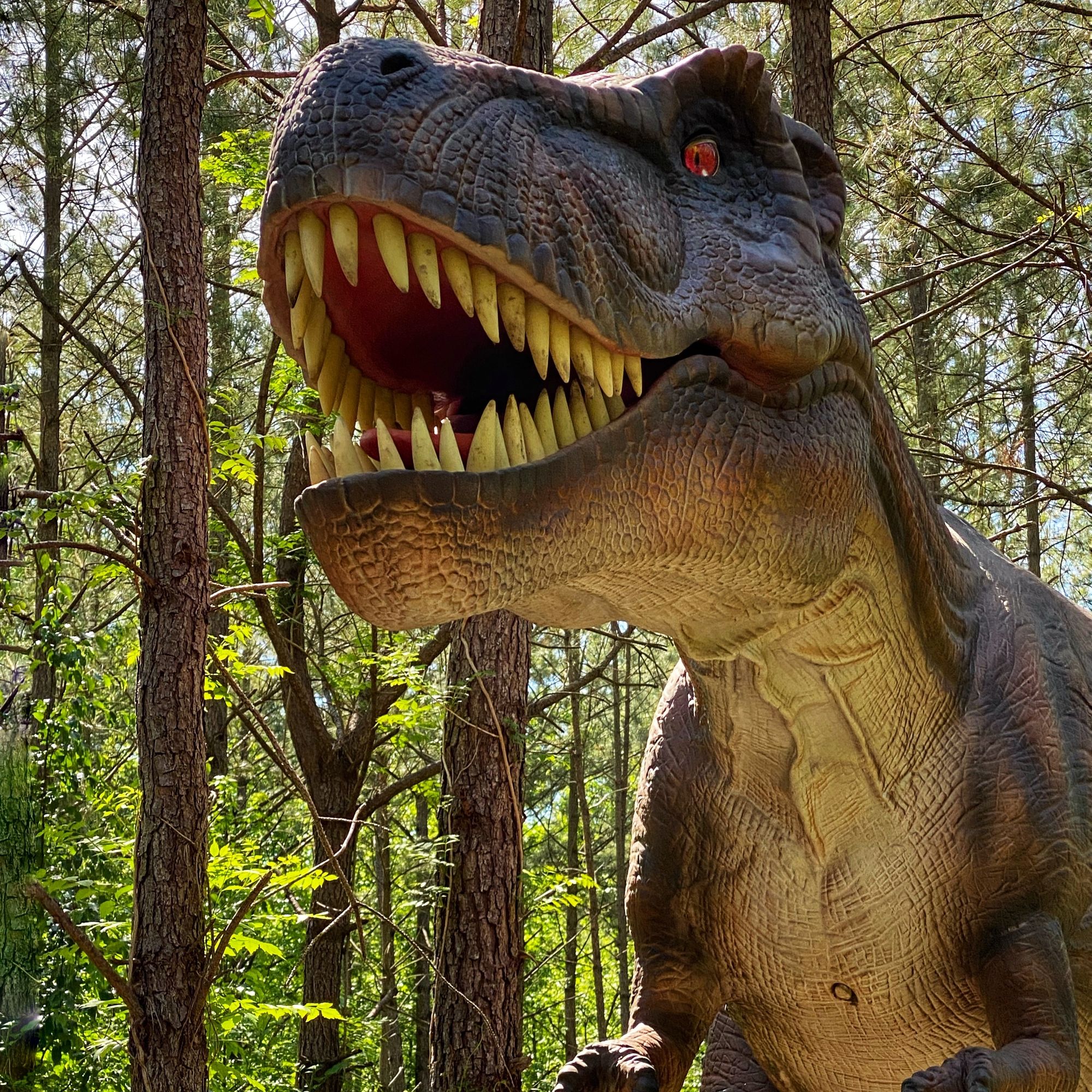 Family Fun & Farm Tours | Sweet Valley Ranch | Fayetteville