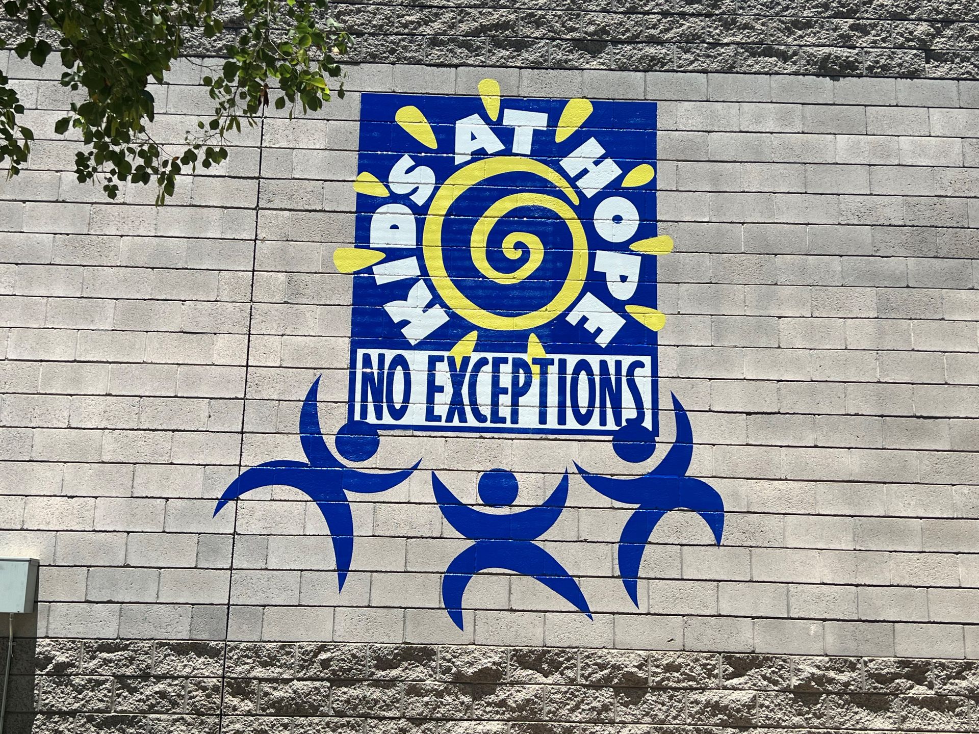 Custom Vinyl Wraps & Sign Shop in Yuma | Sign Pro of Yuma