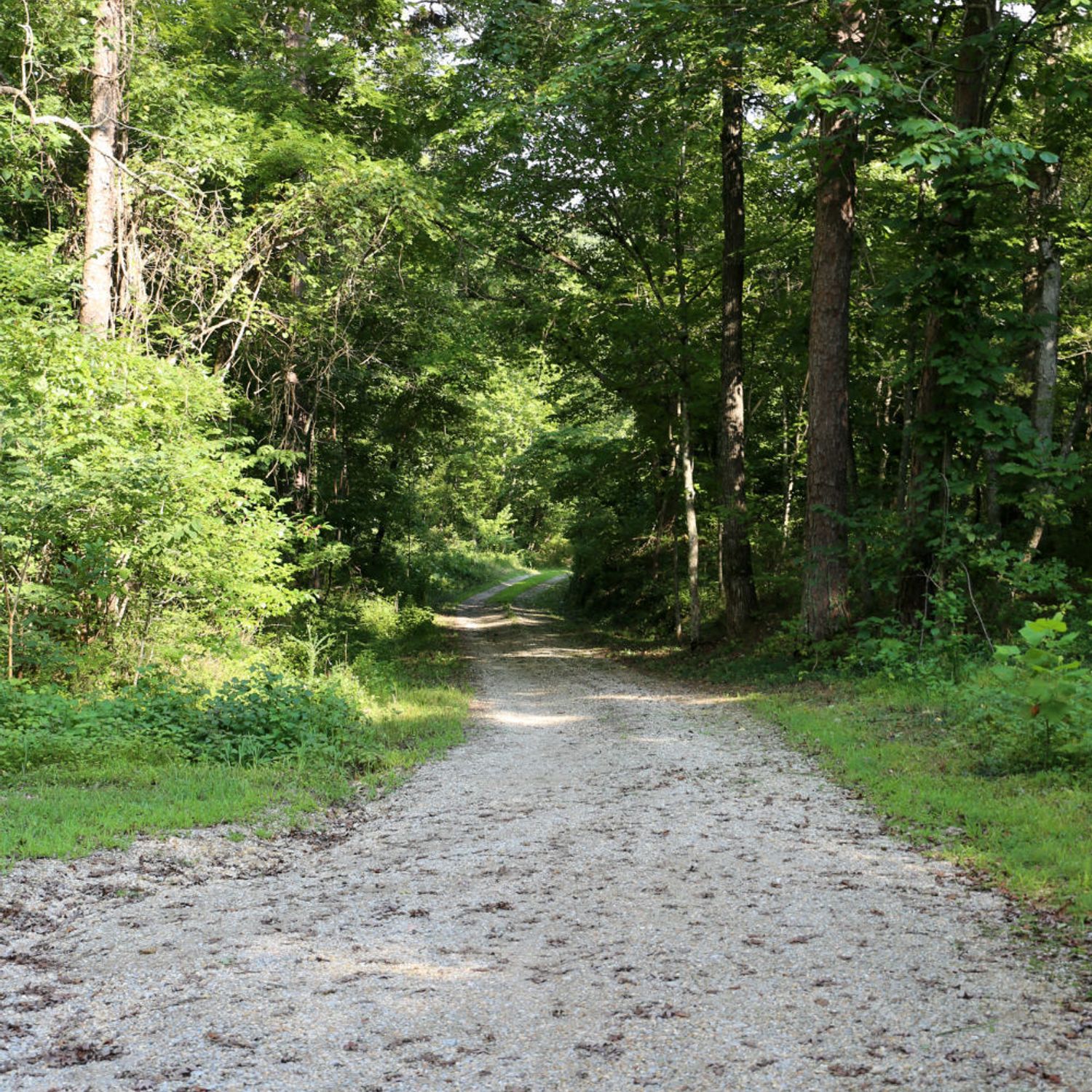 The New House | Rainbow Trout & Game Ranch | Rockbridge, MO