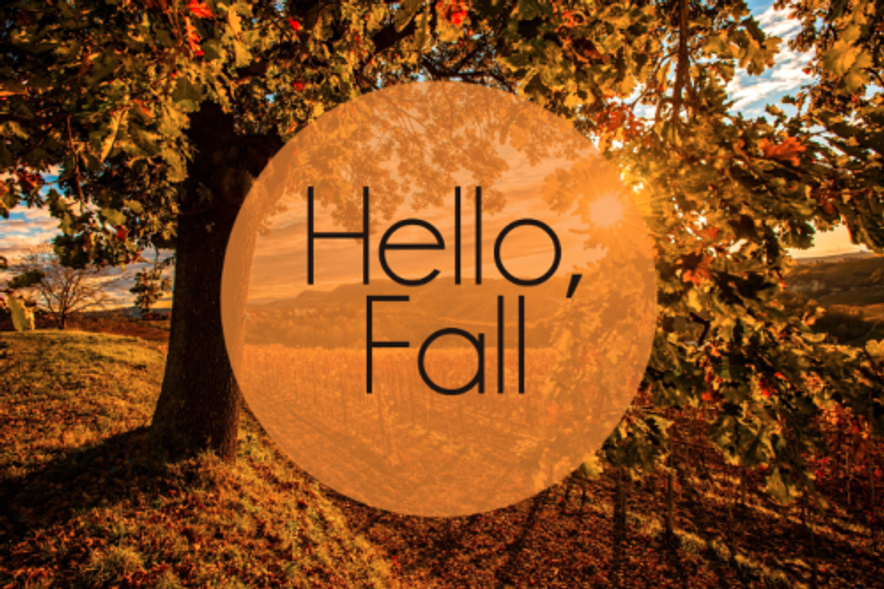 Town & Country Supermarket Liquors