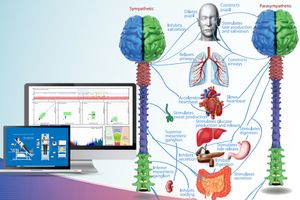 The VitalScan ANS System is a clinically powerful and easy to use non ...