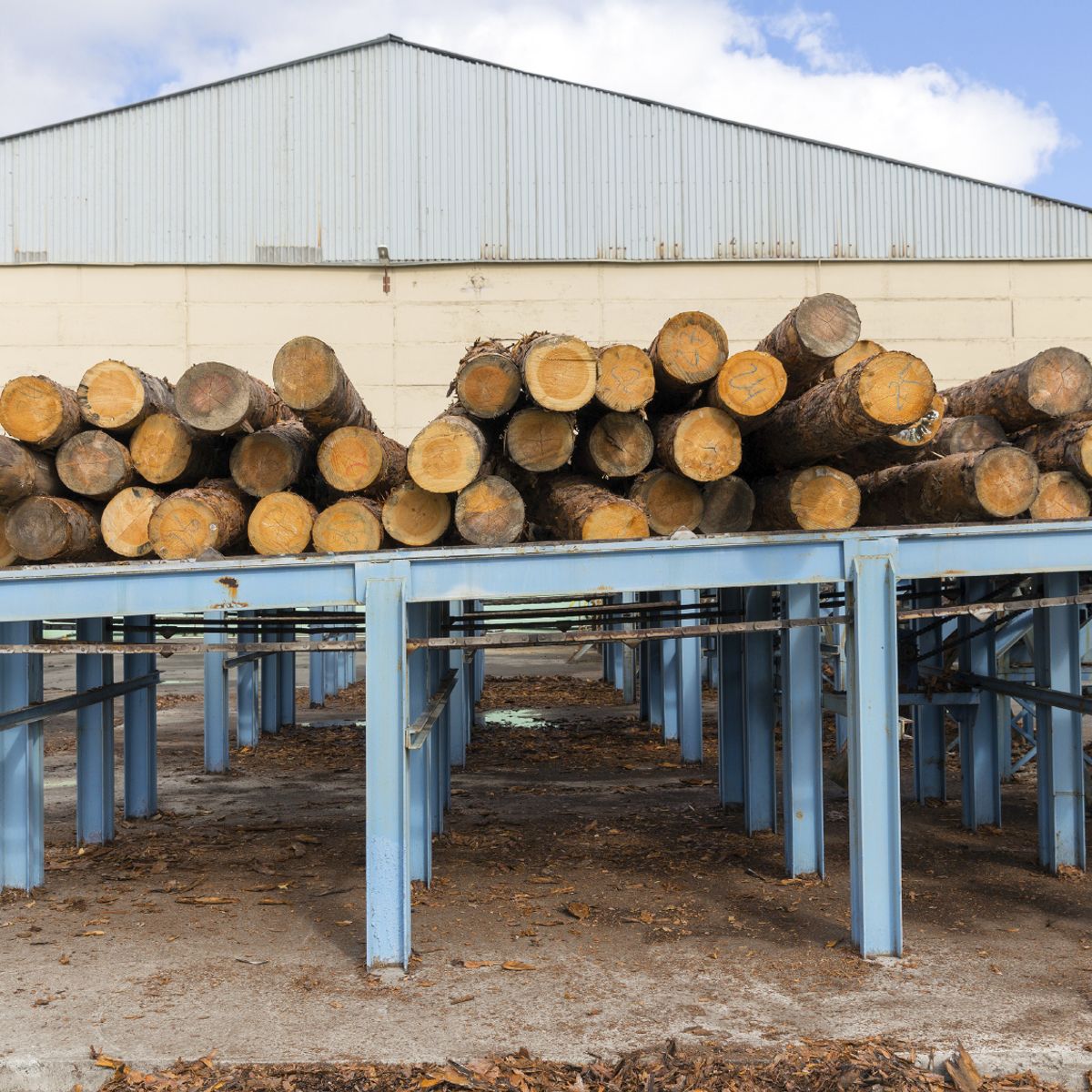 Family Owned and Operated Davie Ashley Sawmill located in Elora, TN