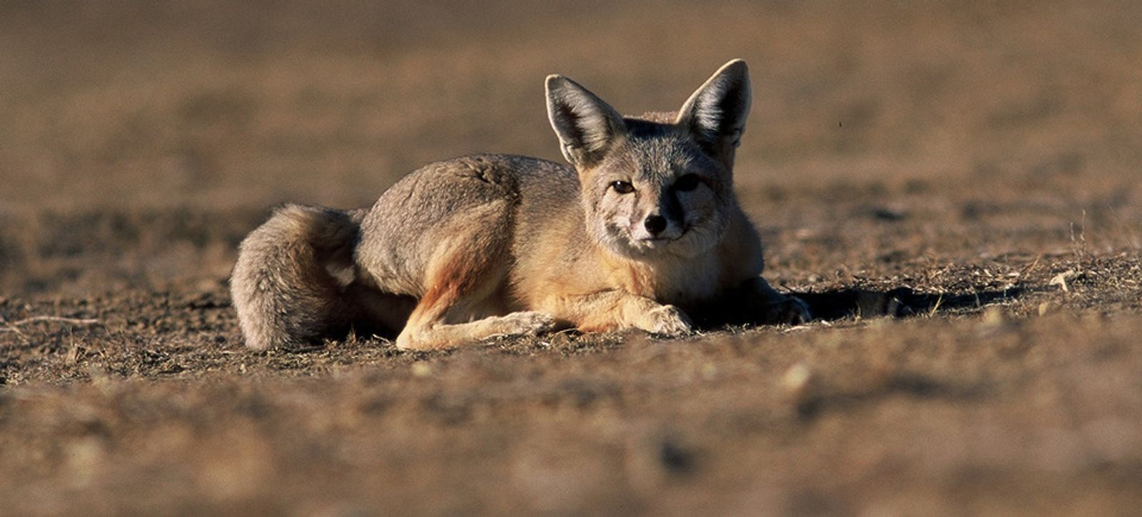 chuckgrahamphoto.com