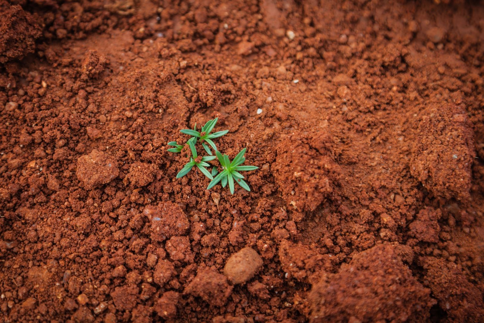 Soil Stabilitization, Its Methods, and Their Advantages