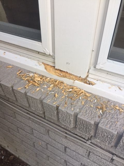 Wood Rot Repair Specialists | Before & After Photo Gallery – Tulsa, OK