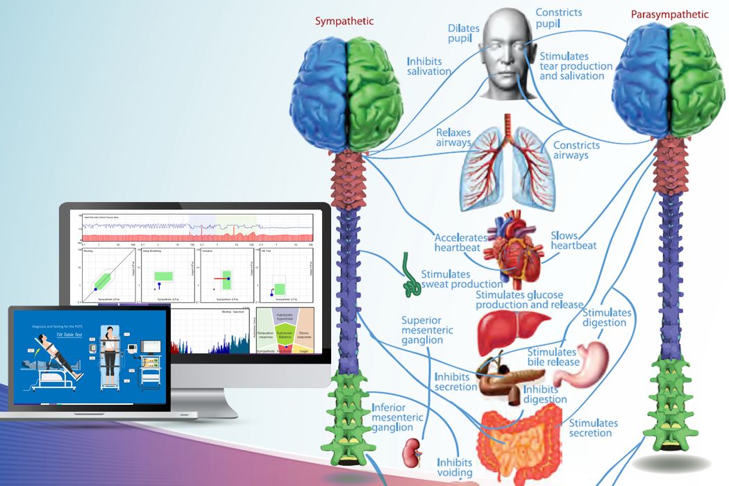 The VitalScan ANS System is a clinically powerful and easy to use non ...
