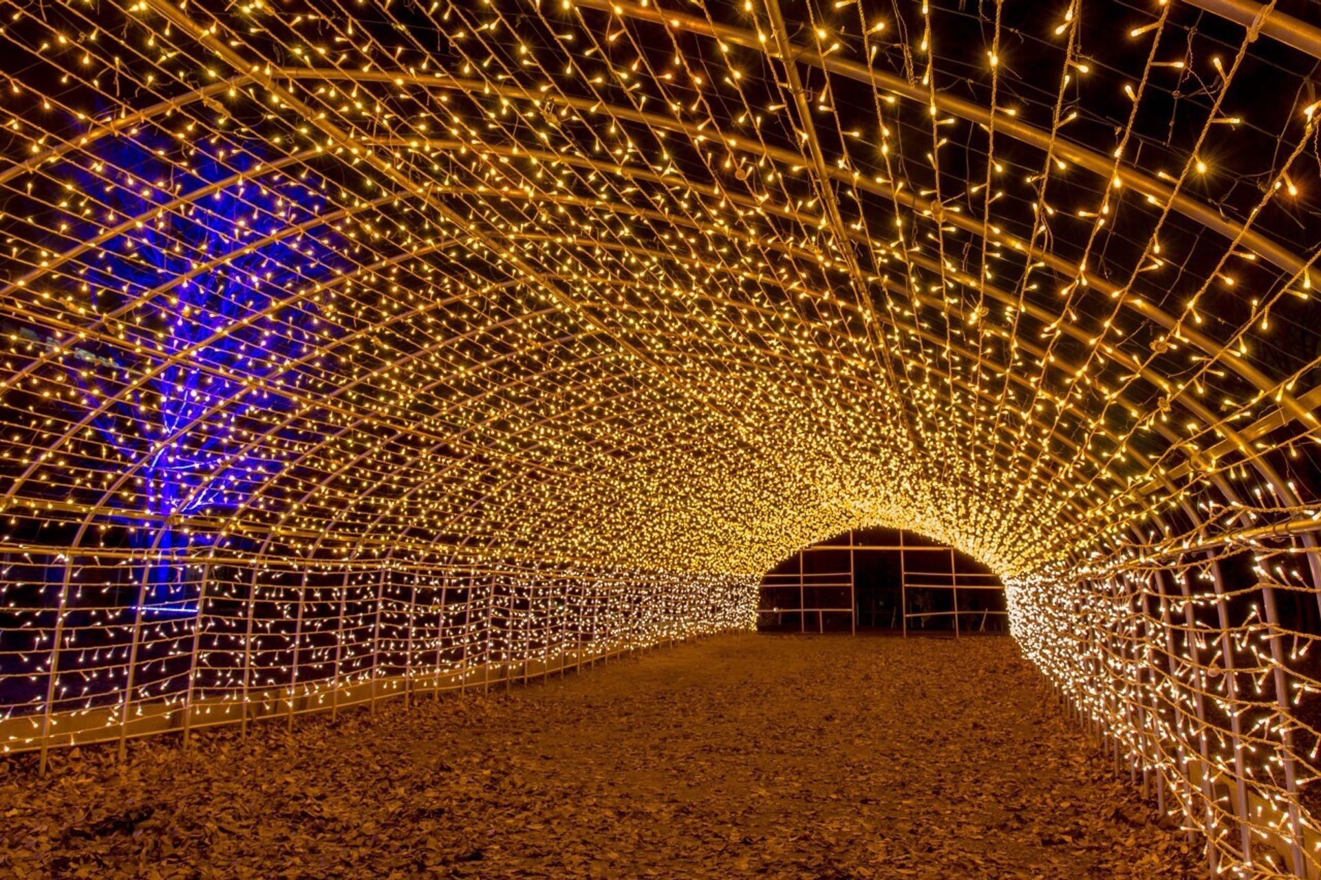 Tickets on Sale at Sweet Valley Ranch | Family Attractions