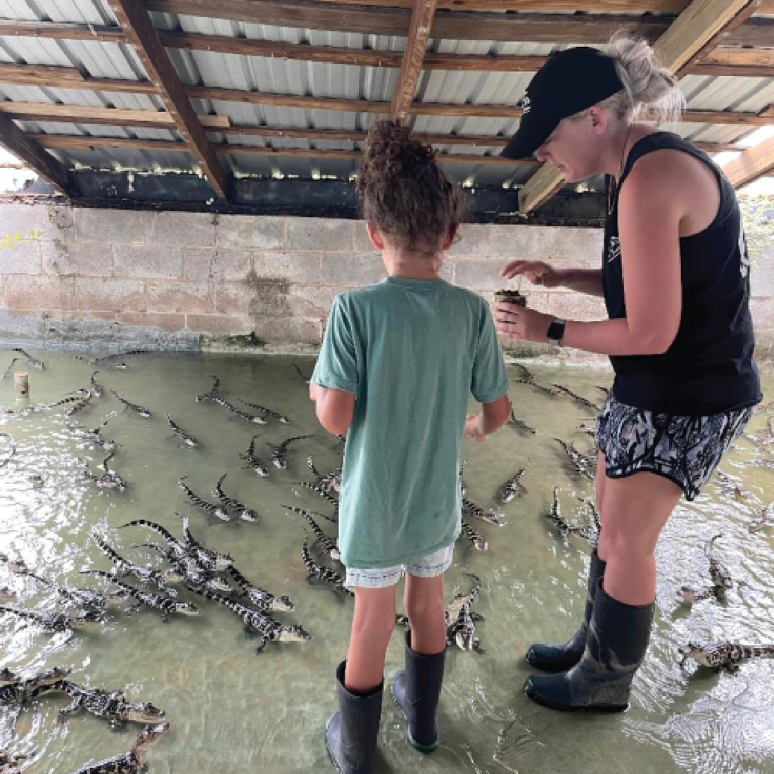 Orange Hill Gator Farm: Family Friendly Alligator Preserve Farm