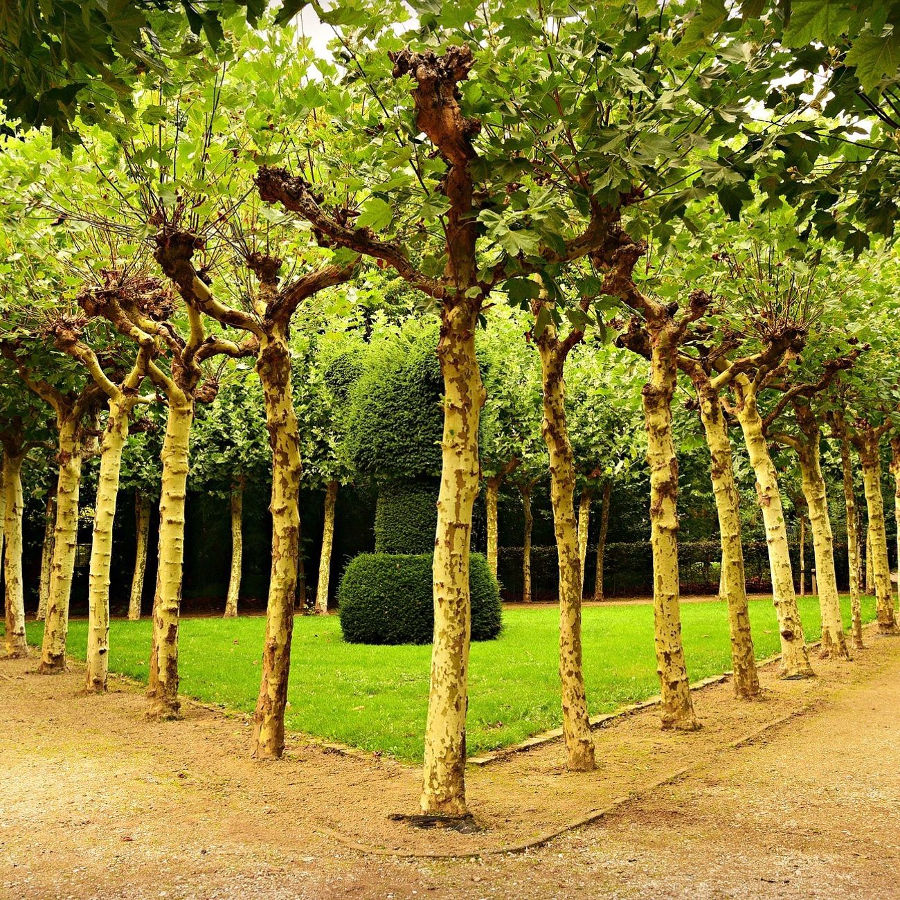 SMART TREE SERVICE, LLC