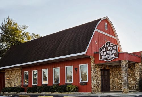 Now offering Laser Therapy! Veterinarian & Animal Clinic near Cullman ...