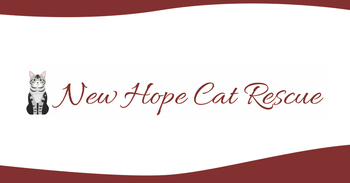 New Hope Cat Rescue | Support Cats in Need – Johnson City, TN