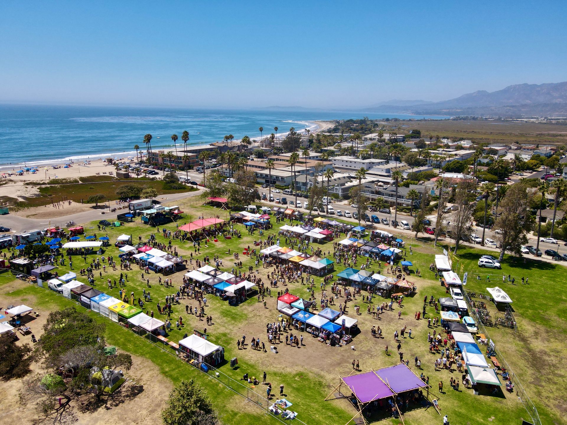 Surf 'n' Suds Beer Festival - A Beer Festival with a Surf Twist!