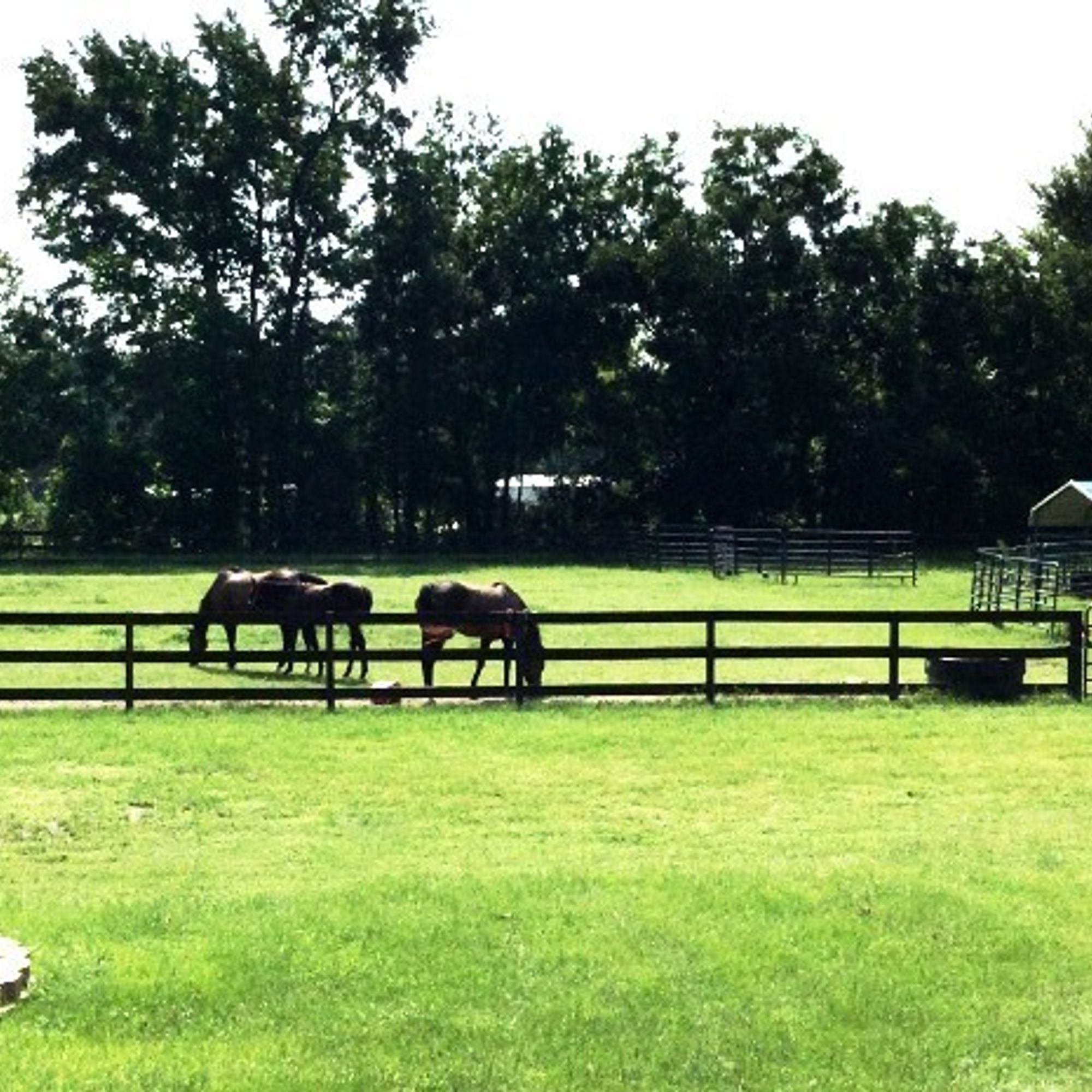 Sweet Valley Ranch Gallery | Tours & Events in Fayetteville