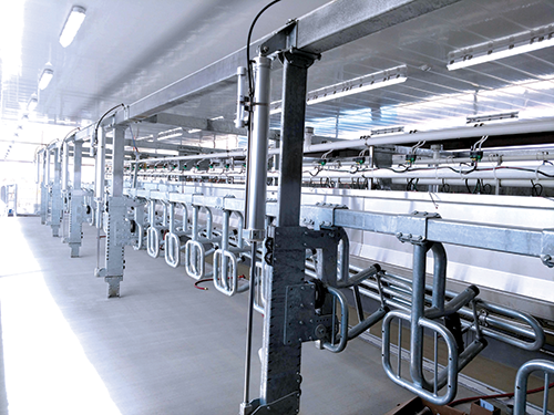 Zumbro Ag Solutions LLC