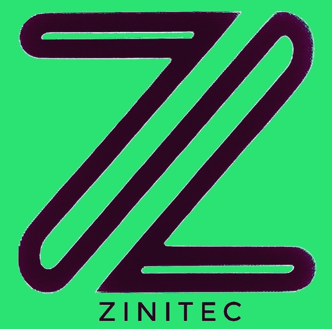 Zinitec Consulting | Empowering Future Solutions