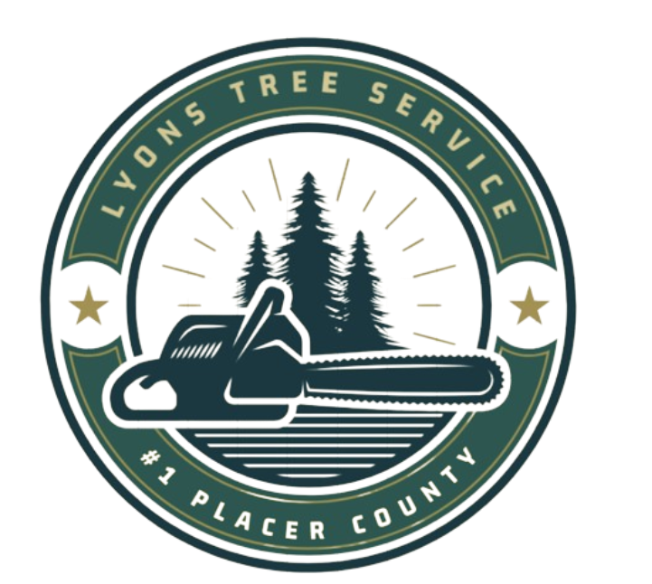 Lyon Tree Service: Expert Tree Trimming & Removal in Roseville & Auburn, CA