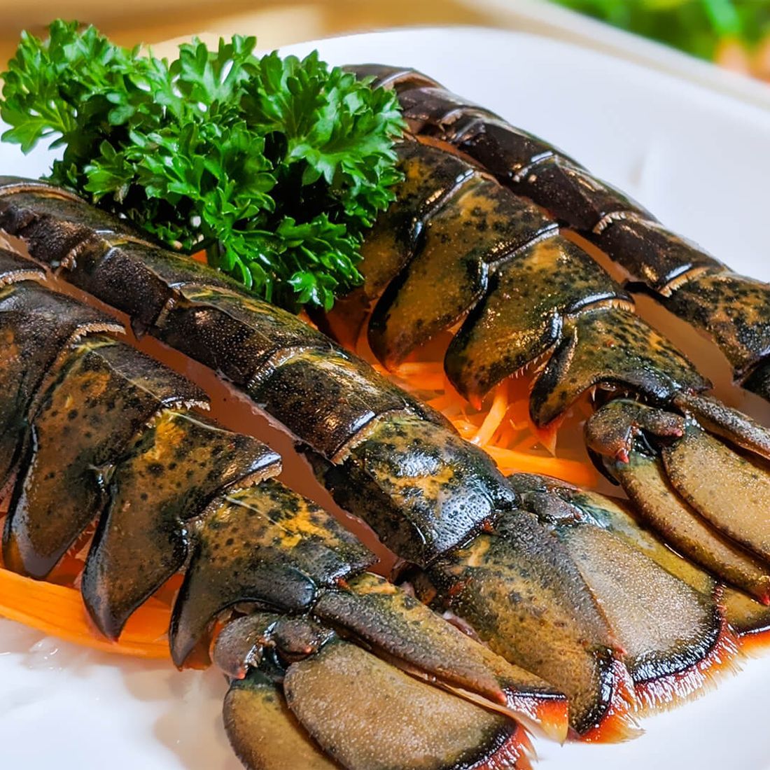 Shabu Zen - Boston’s Best Authentic Japanese Hotpot