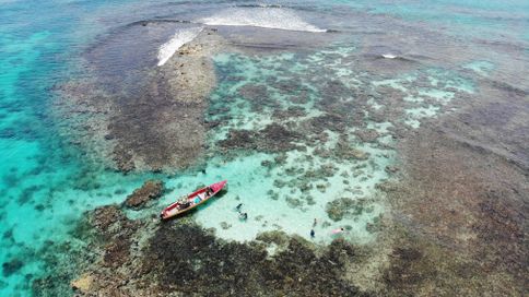 Bluefields Bay, Jamaica's Sanctuary