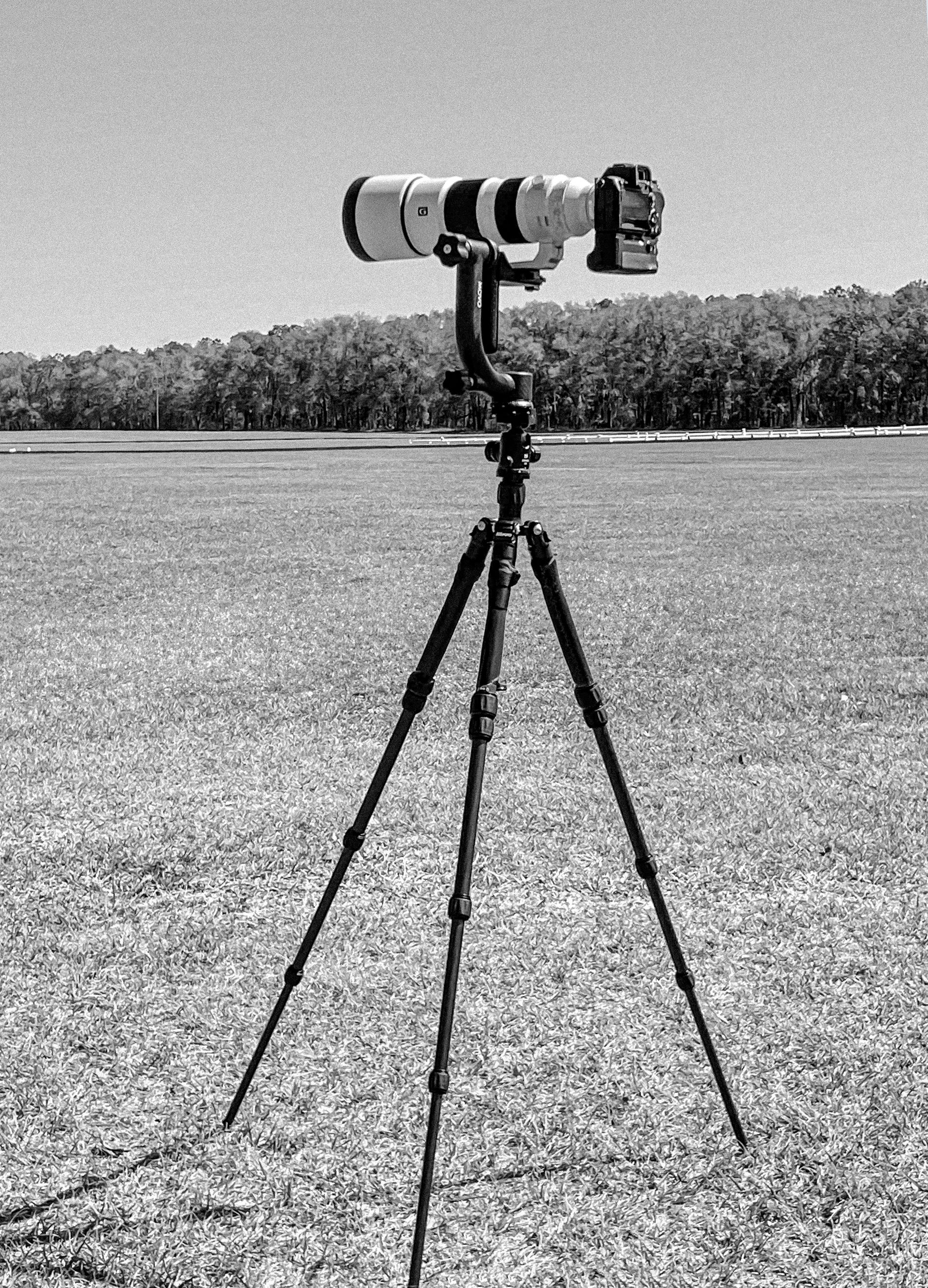 Professional Photographer Services| Dave DeAngelis Photographs, Ocala, FL