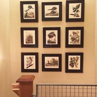 Alpine Art & Frame | Custom Framing and Art Installation, Salt Lake ...