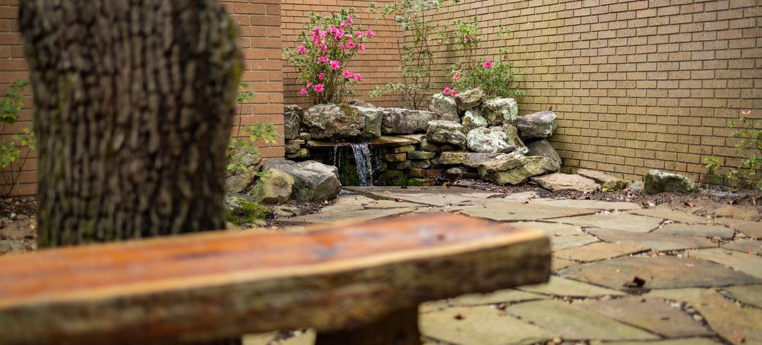 Exalt Academy - Little Rock's Premier Public Charter School