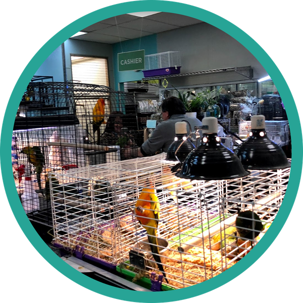 Bird and Pet Store in Rockville Centre | Parrots of the World ...