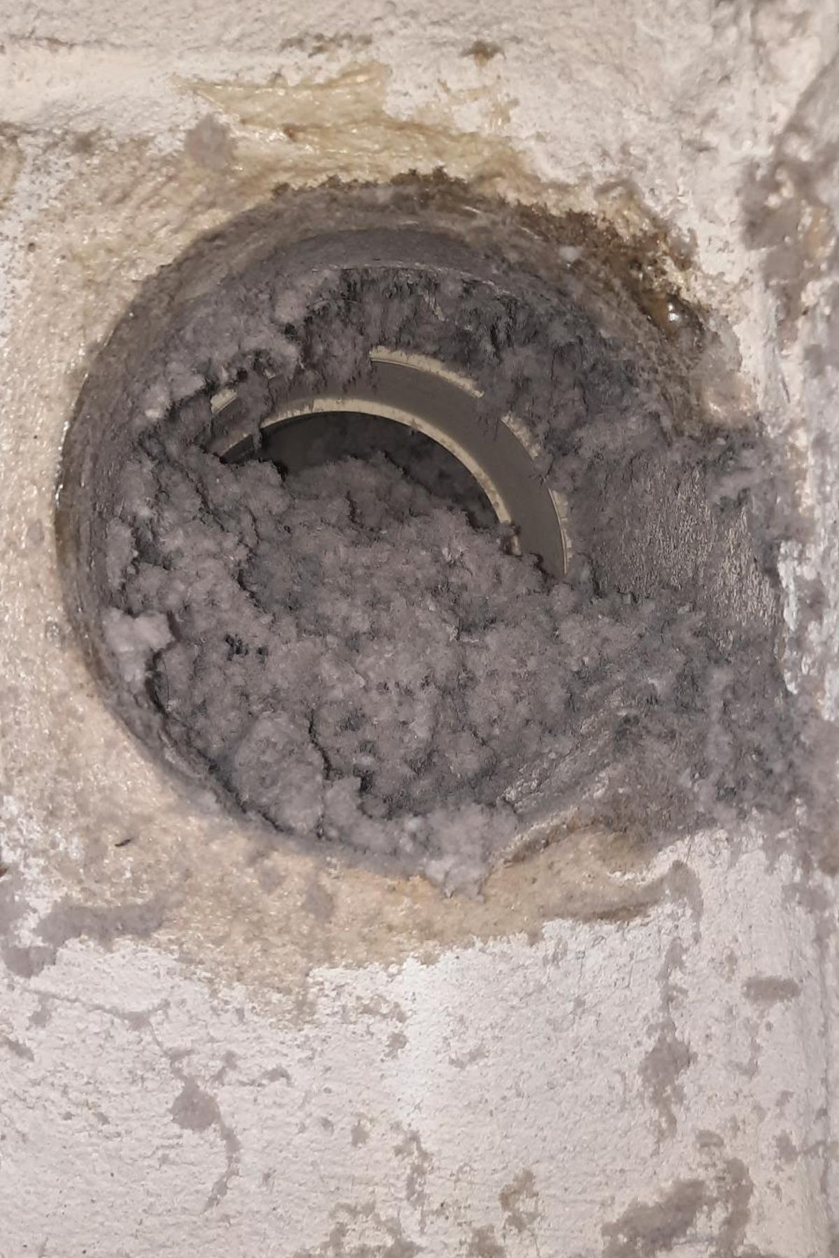 Services | Optim Air USA