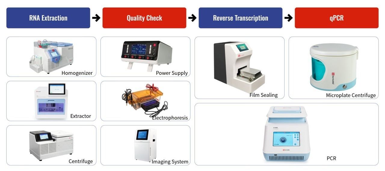BioElite Innovations, LLC.