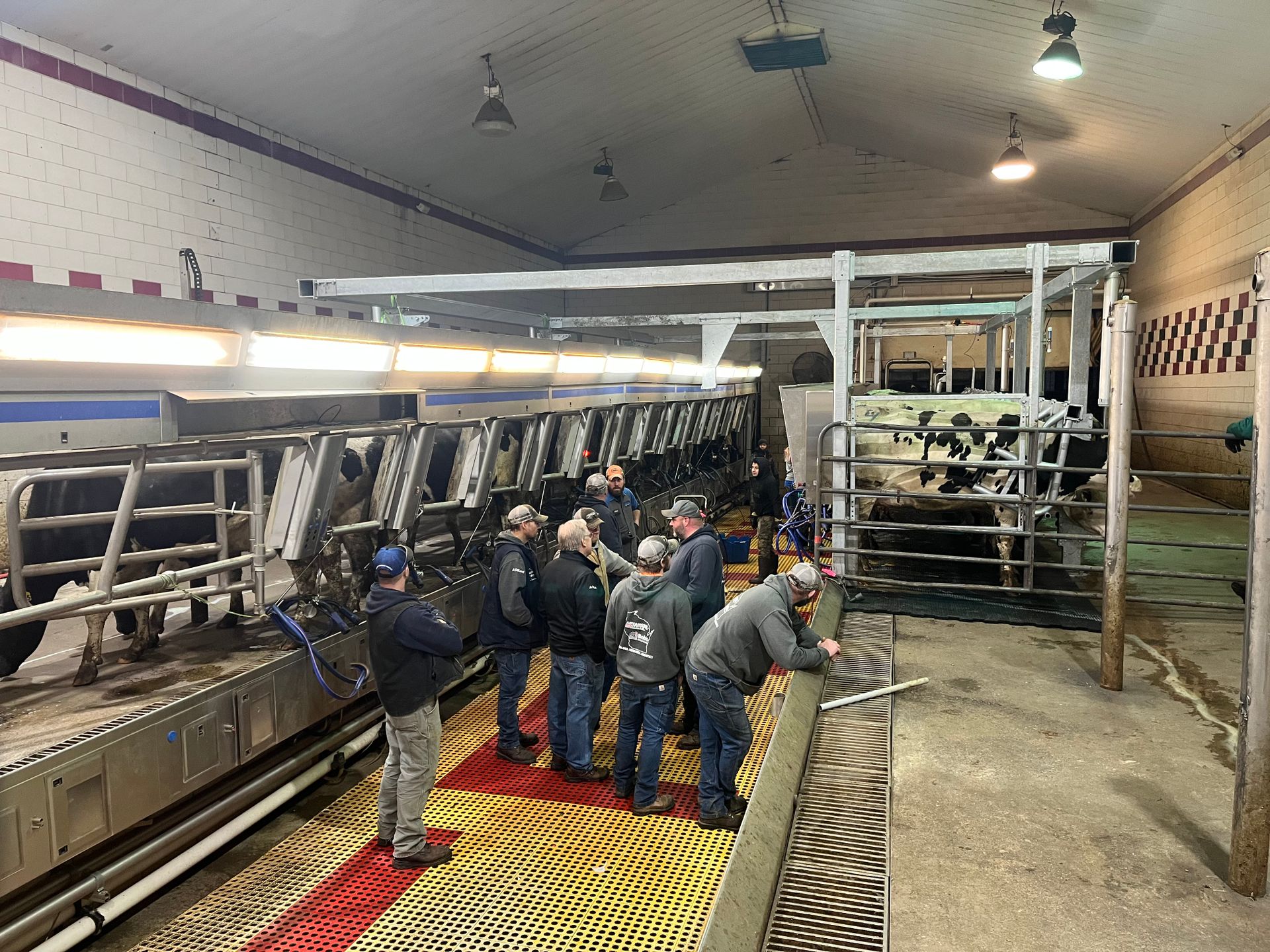 Advanced Dairy