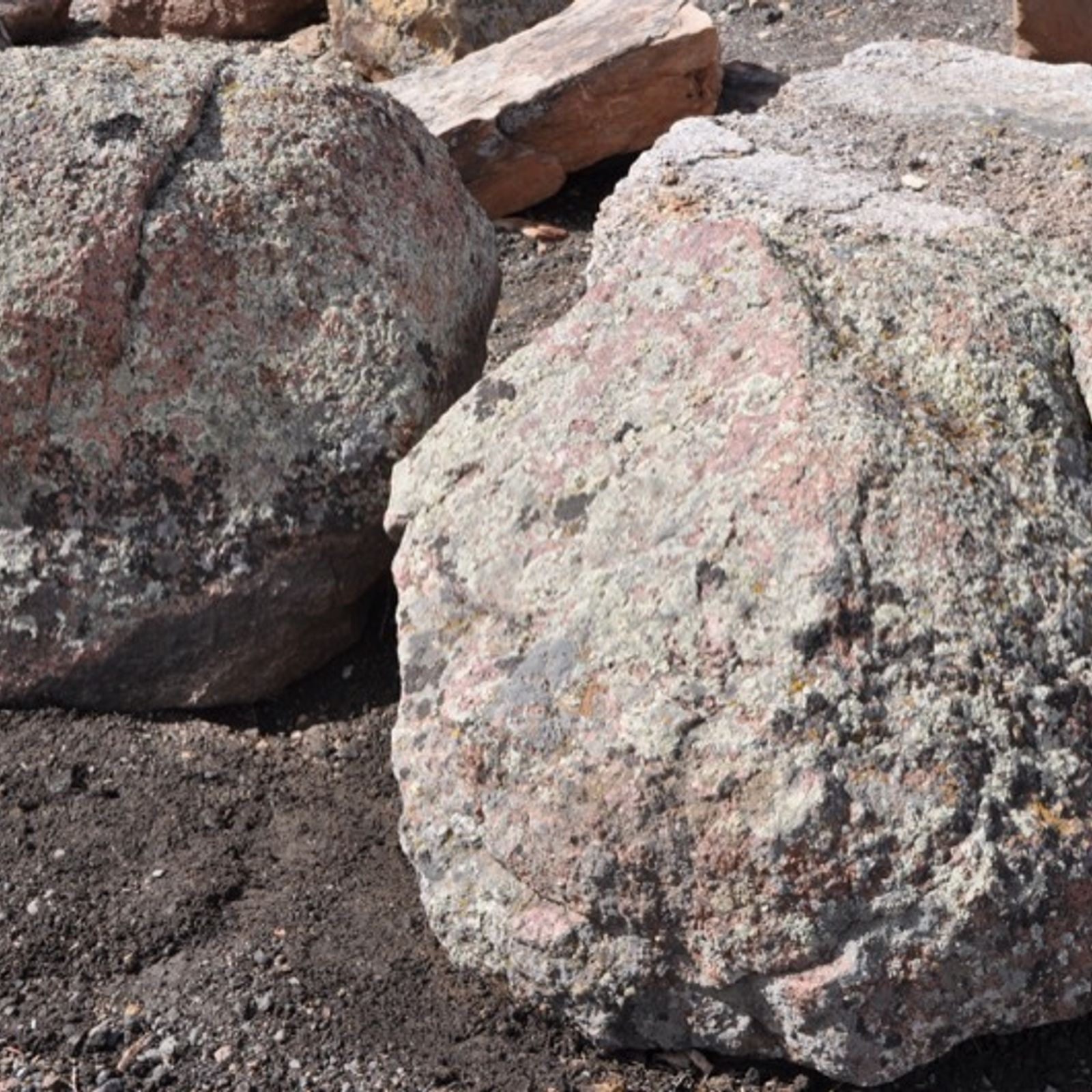 Loveland & Fort Collins Moss Rock | Crystal Landscape Supplies