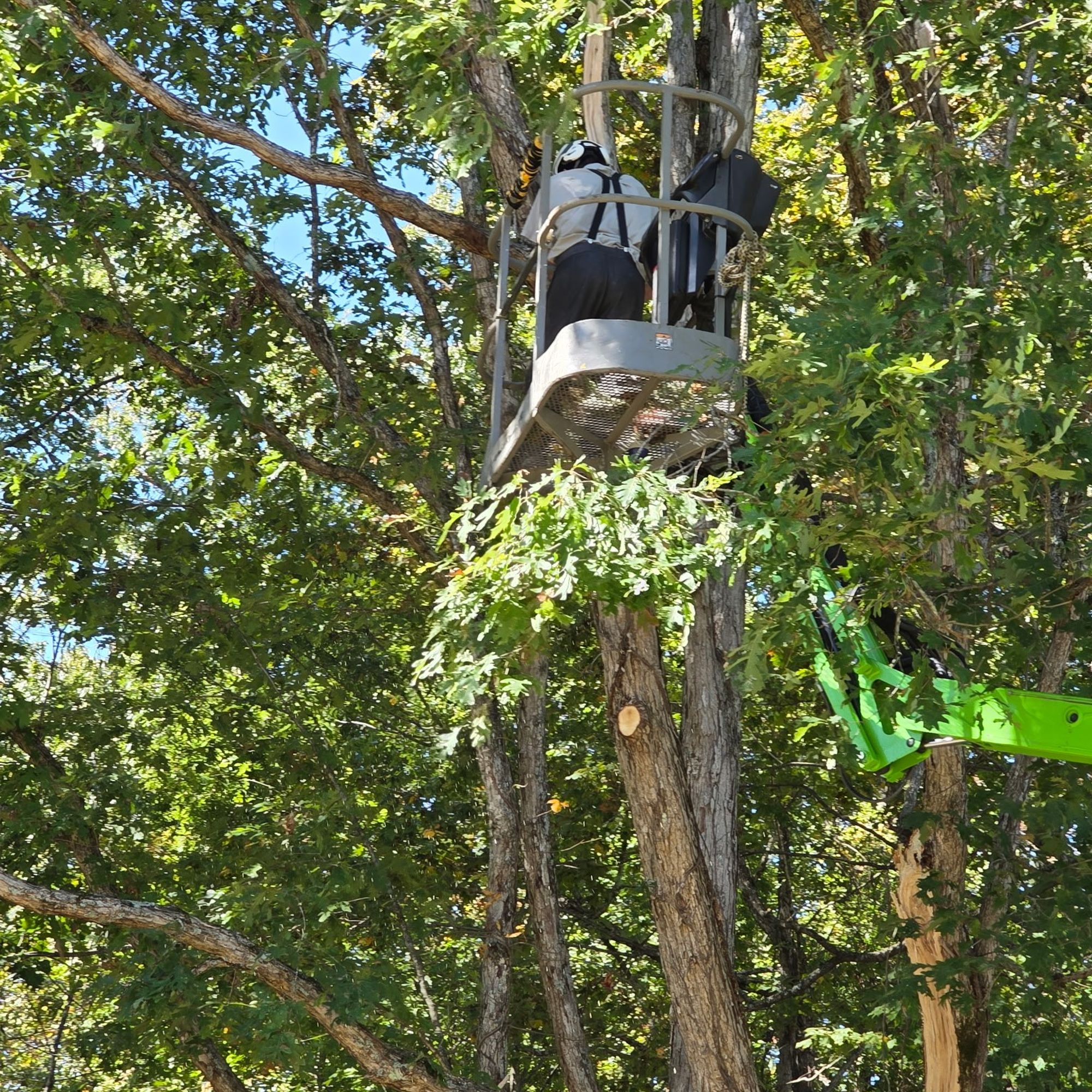 Yoder Tree Service