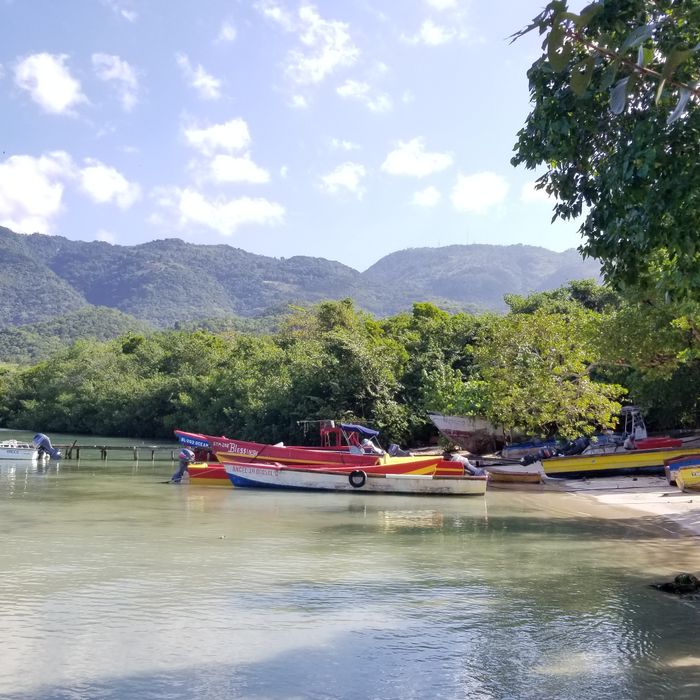 Community | Bluefields Bay