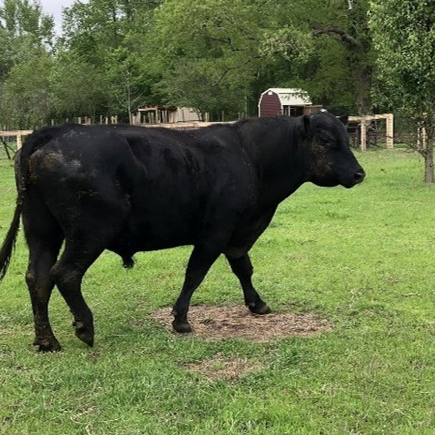 Sweet Valley Ranch Gallery | Tours & Events in Fayetteville