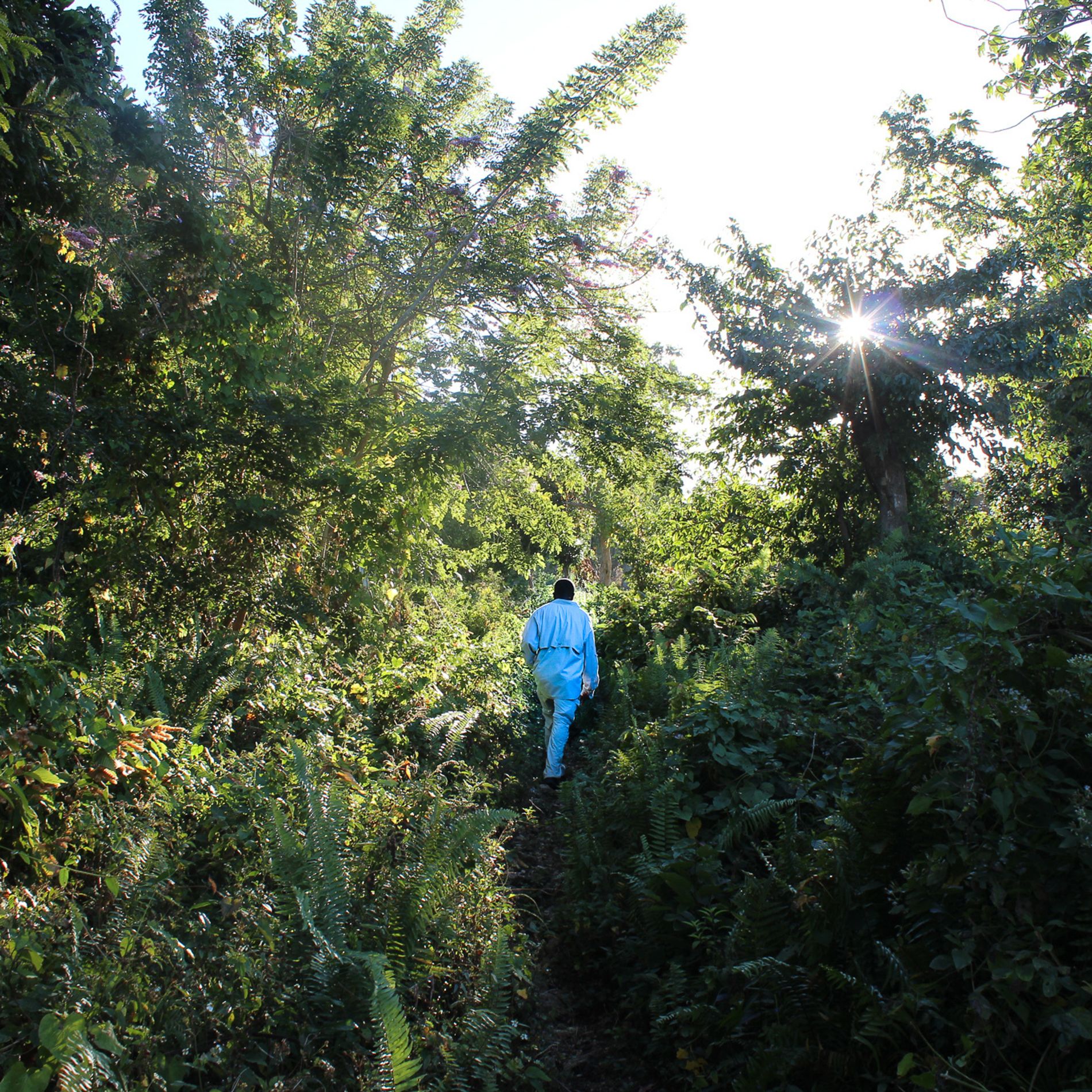 Bluefields Bay, Jamaica's Sanctuary