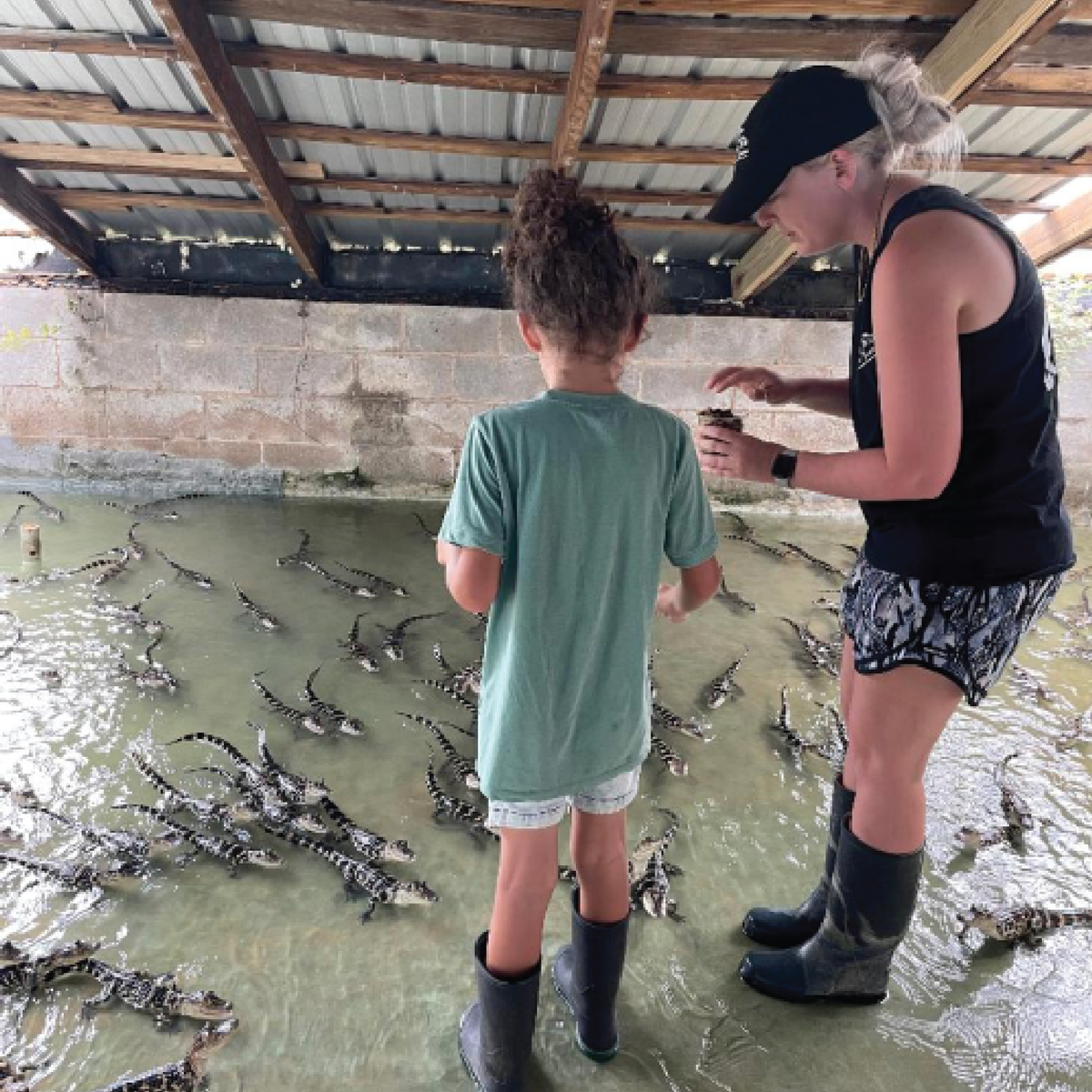 Orange Hill Gator Farm: Family Friendly Alligator Preserve Farm