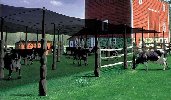 Shade Structures- Stuart, FL | The Shade Man, Inc.