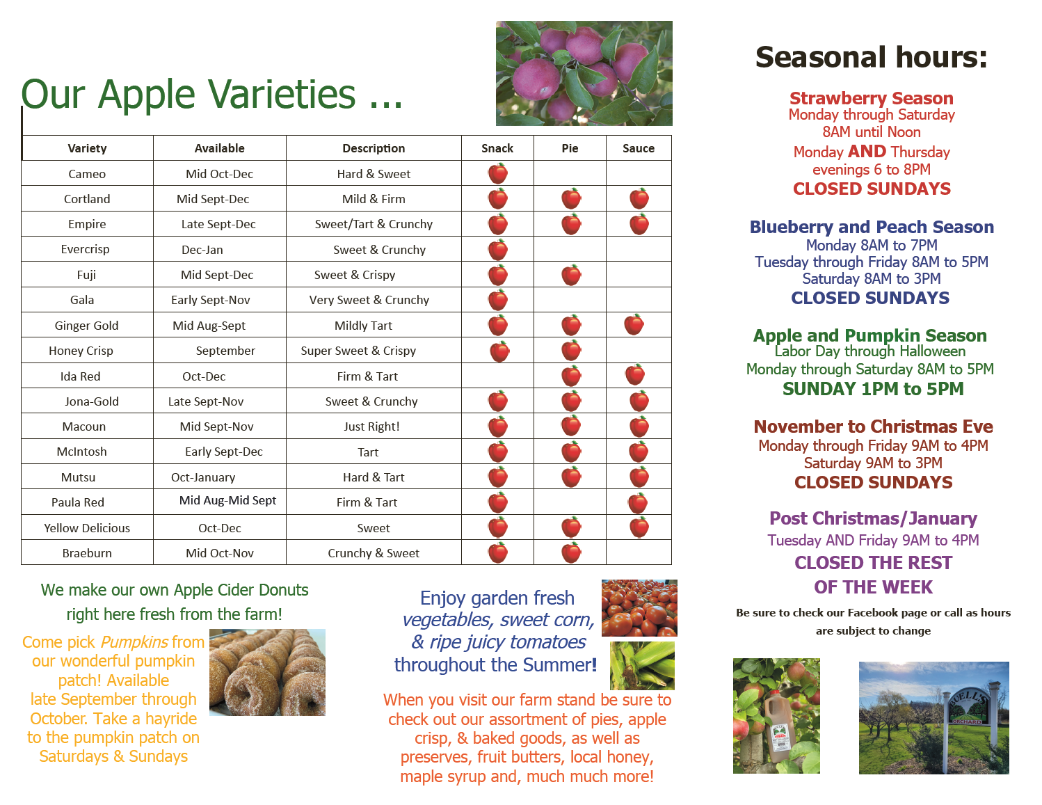 Farm near Eastford, CT - Buell's Orchard