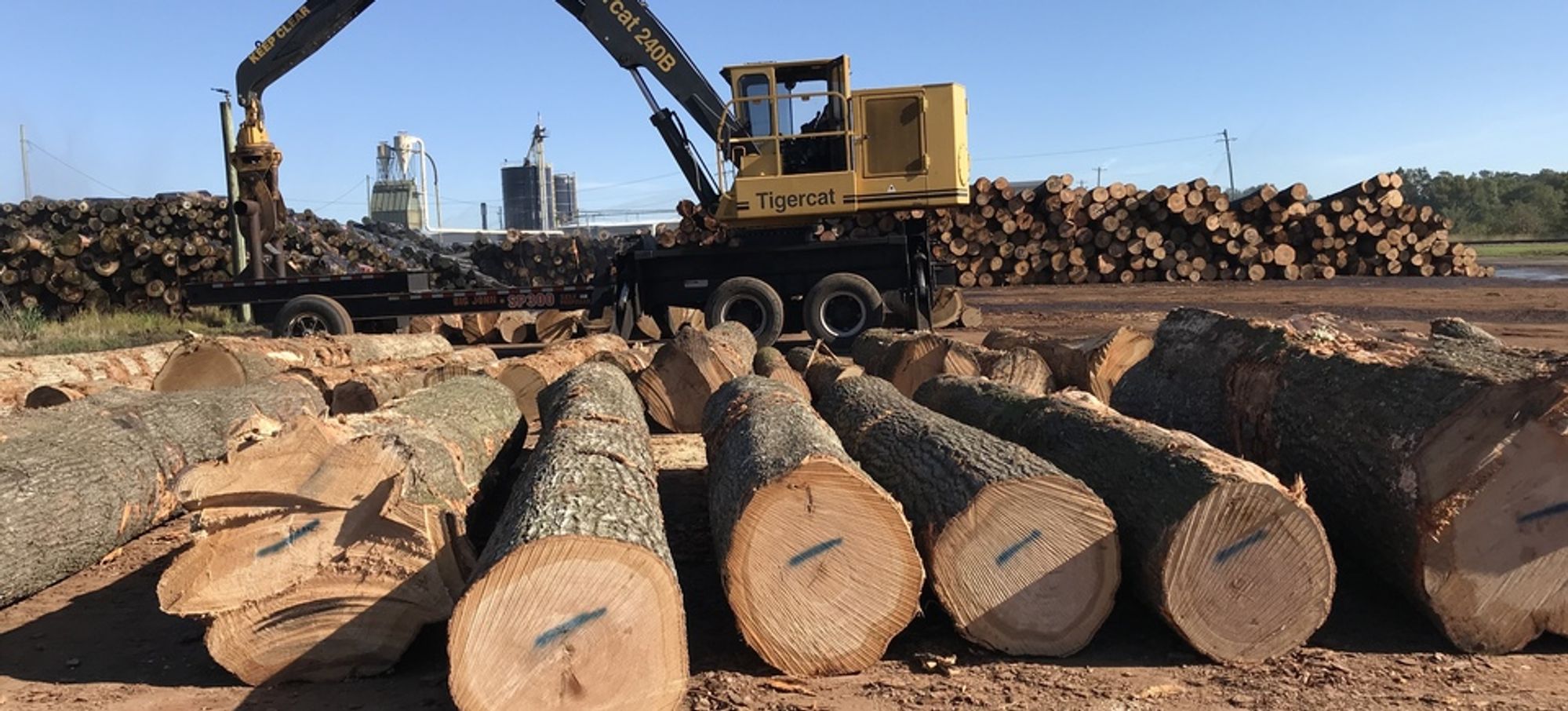 Lumber Mill in Smithfield NC | Jerry G Williams & Sons Lumber Inc.