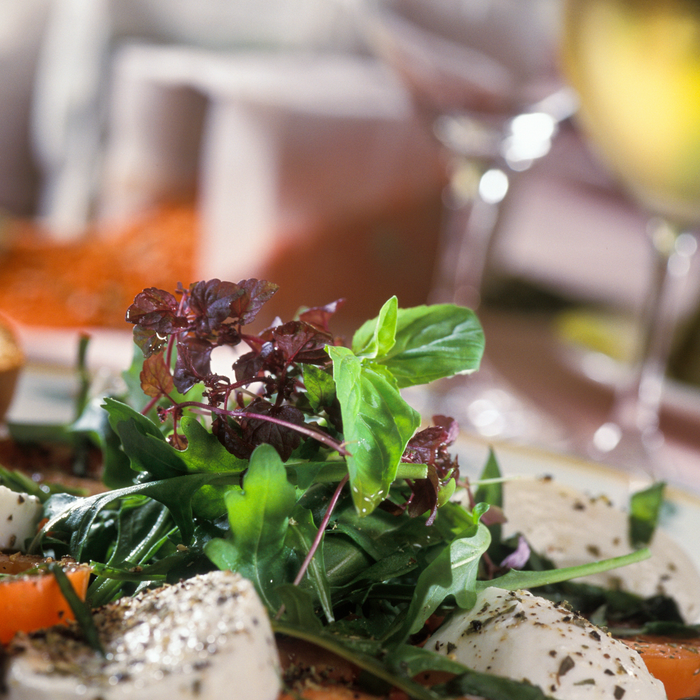 Italian Restaurant - Restaurant - Stuart, FL | Casa Giuseppe's Italian ...