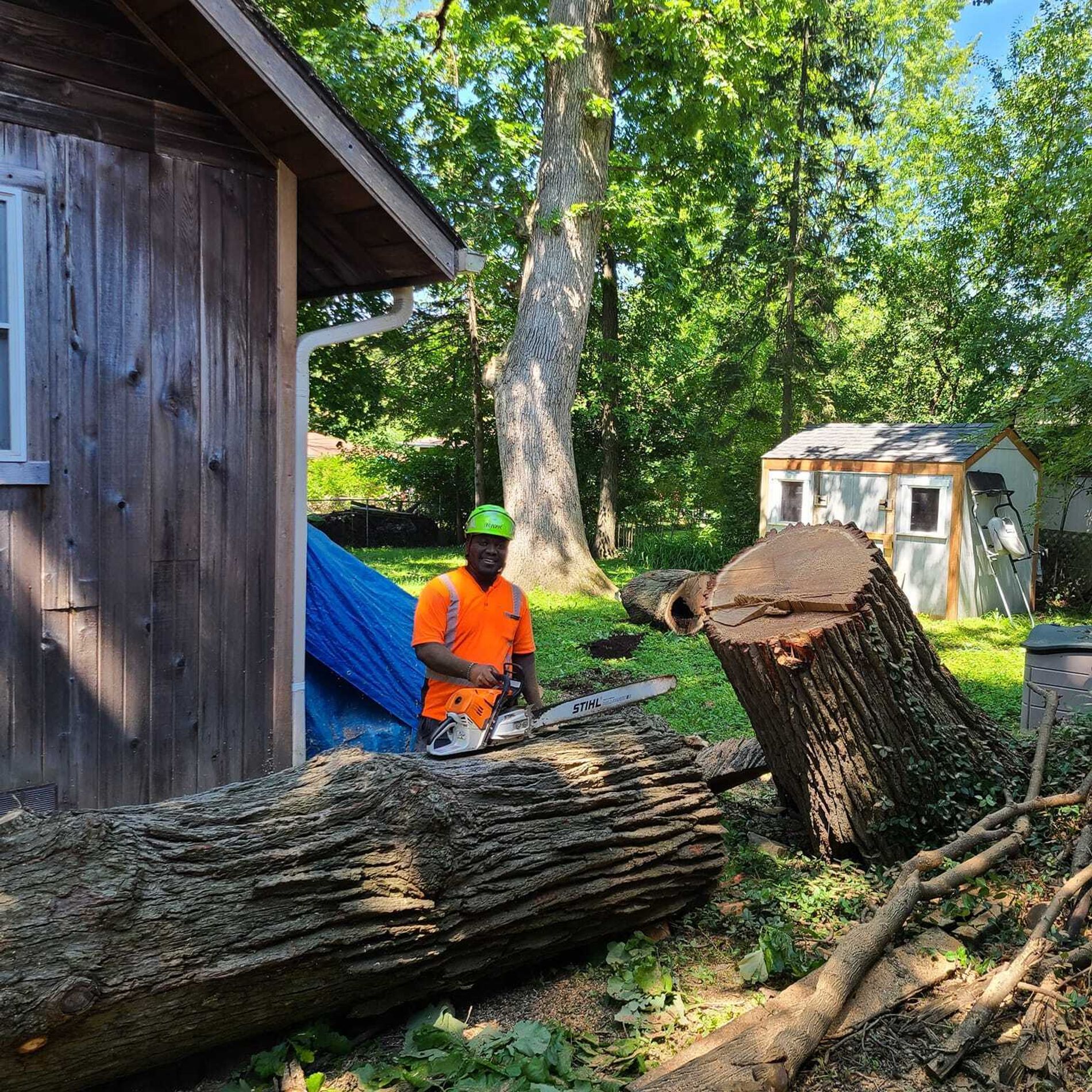 Bobby Tree Care LLC | Professional Tree Service | Lake Zurich, IL