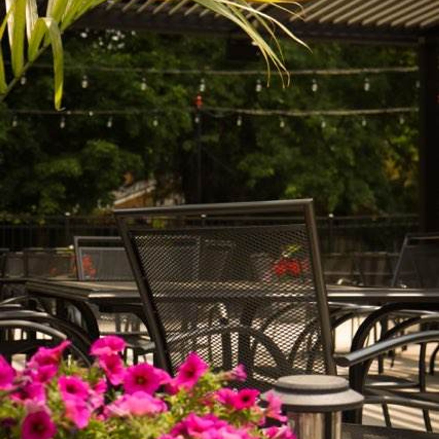 Four Roses Cafe I Casual Fine Dining