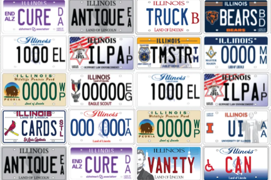 Norma's Fast License Services