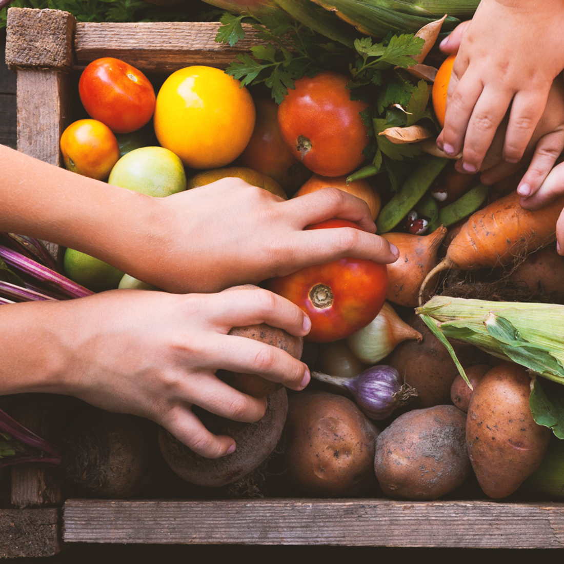 Fresh Produce | CSA | Henry’s Family Farm | Huntsville, AL